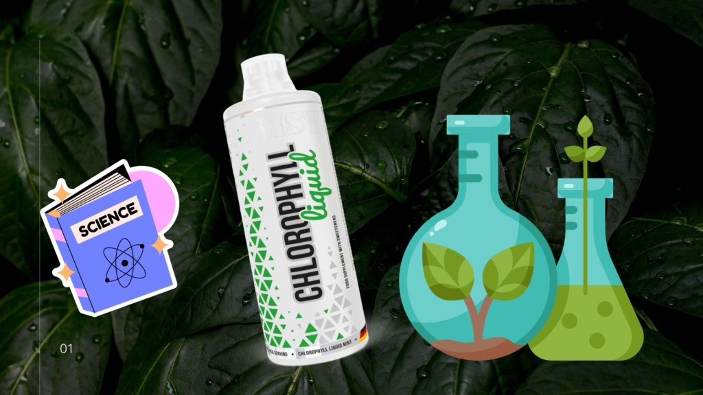 20 Important Facts about Chlorophyll - MST Nutrition UA